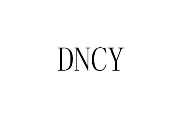 Dncy是什么牌子-排行榜123网